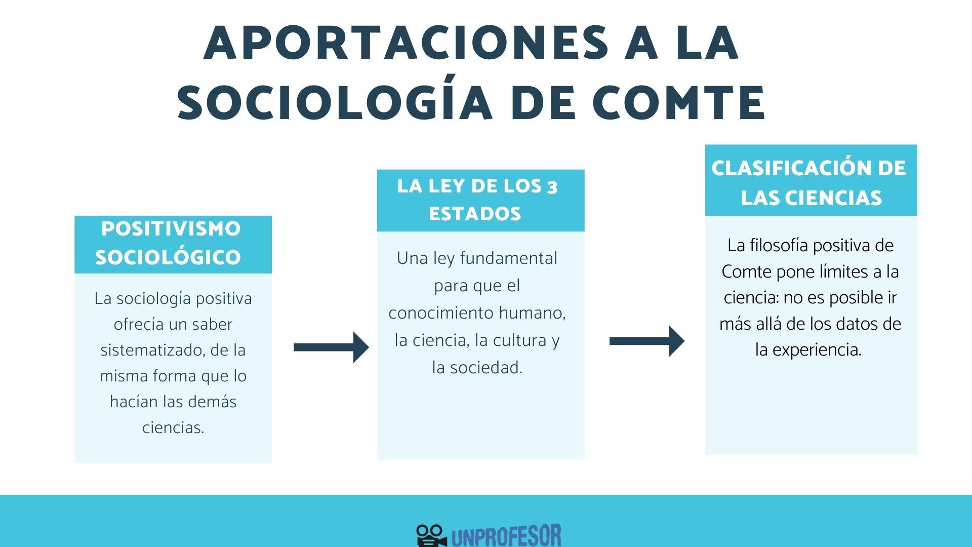 Cómo se divide la sociología para su estudio - Saber Estudiar